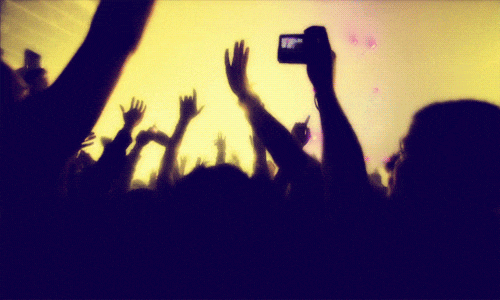 An Open Letter To The Concert Addicts