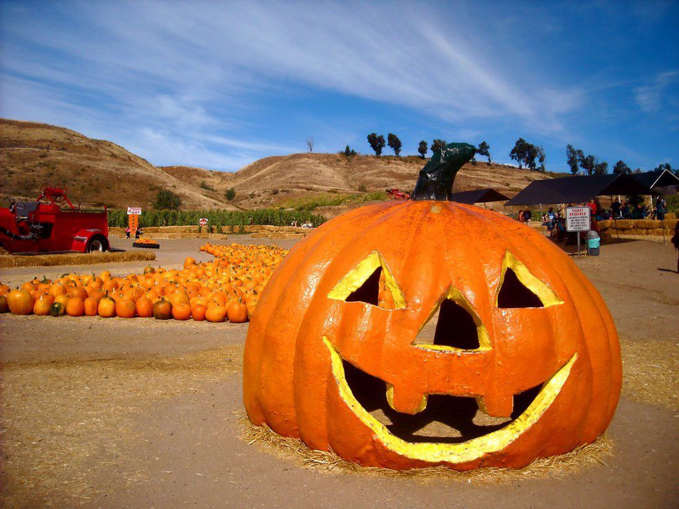 7 Things All People From Santa Clarita Know