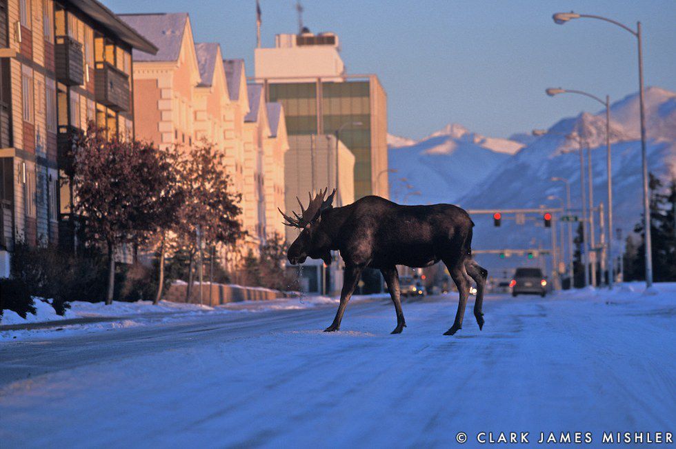 11 Things I Love About Living In Anchorage