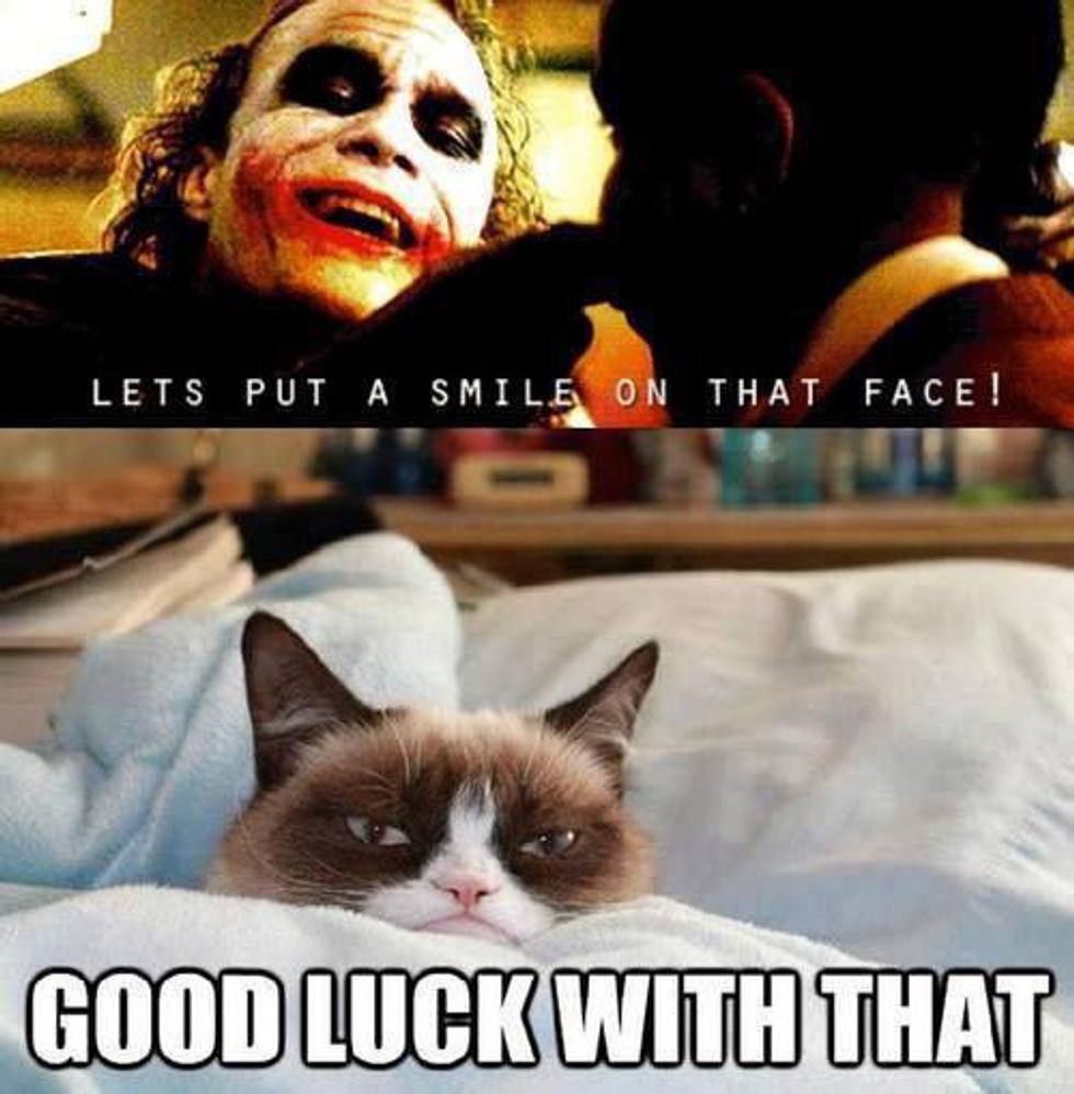 Top 10 Grumpy Cat Memes