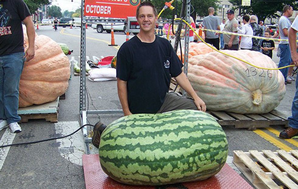 6 Reasons Why Watermelon Is The Best Fruit