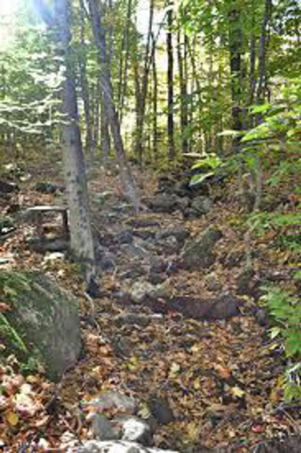 11 Things To Do In Buckfield, Maine