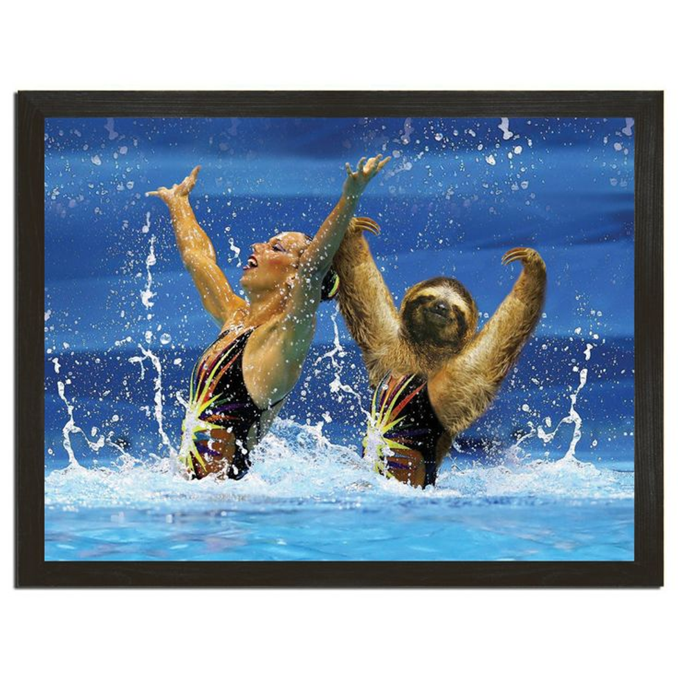 7 Sloth Facts You Probably Didn't Know