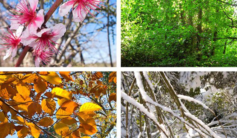 Wisconsin, I Do Love You