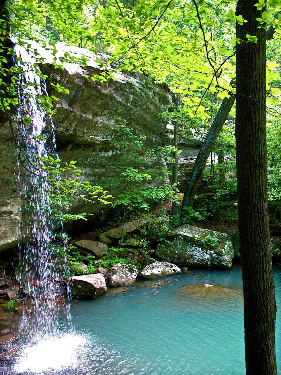 Top 5 Illinois Hiking Spots