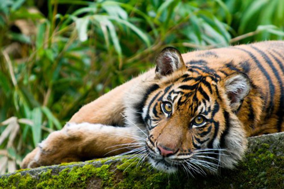 21 Places You Need On Your Seattle, Wash. Bucket List