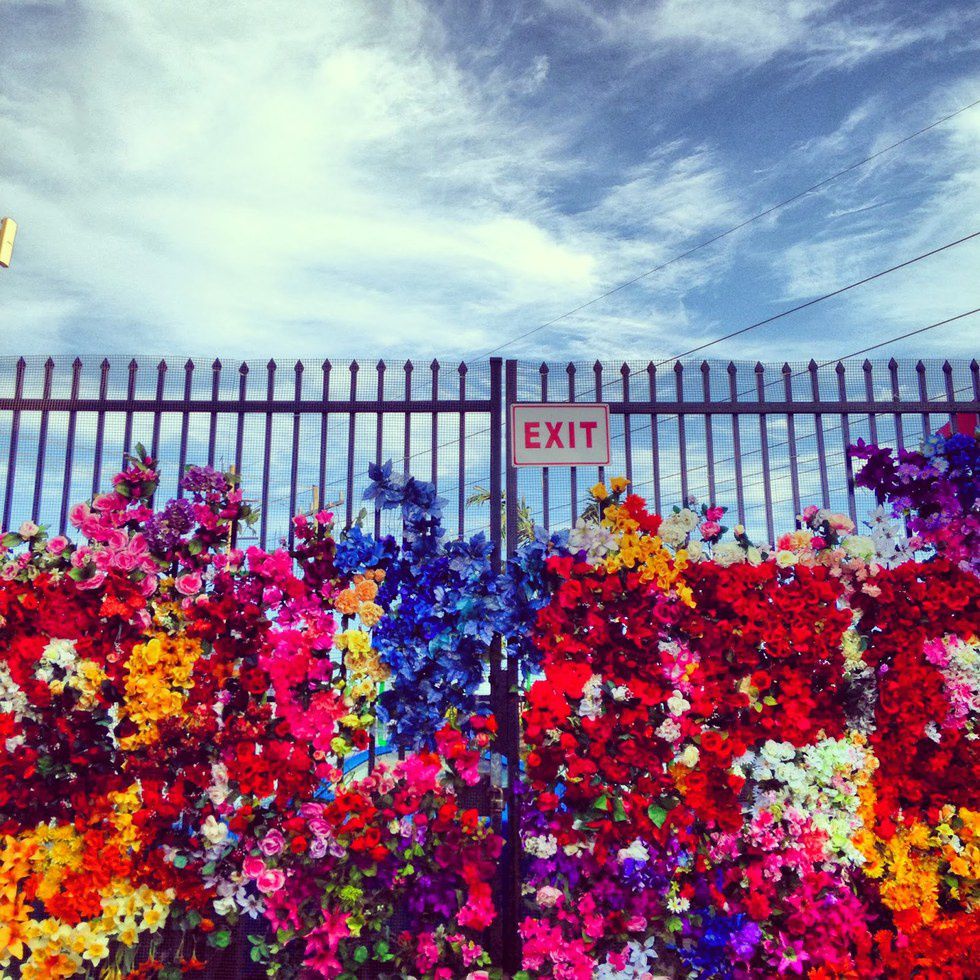 The 8 Most Insta-Worthy Places You Need To Visit In Miami