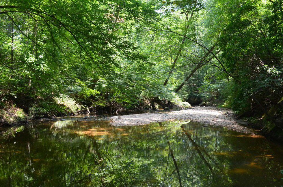 10 Things To Do In Northern Virginia This Summer