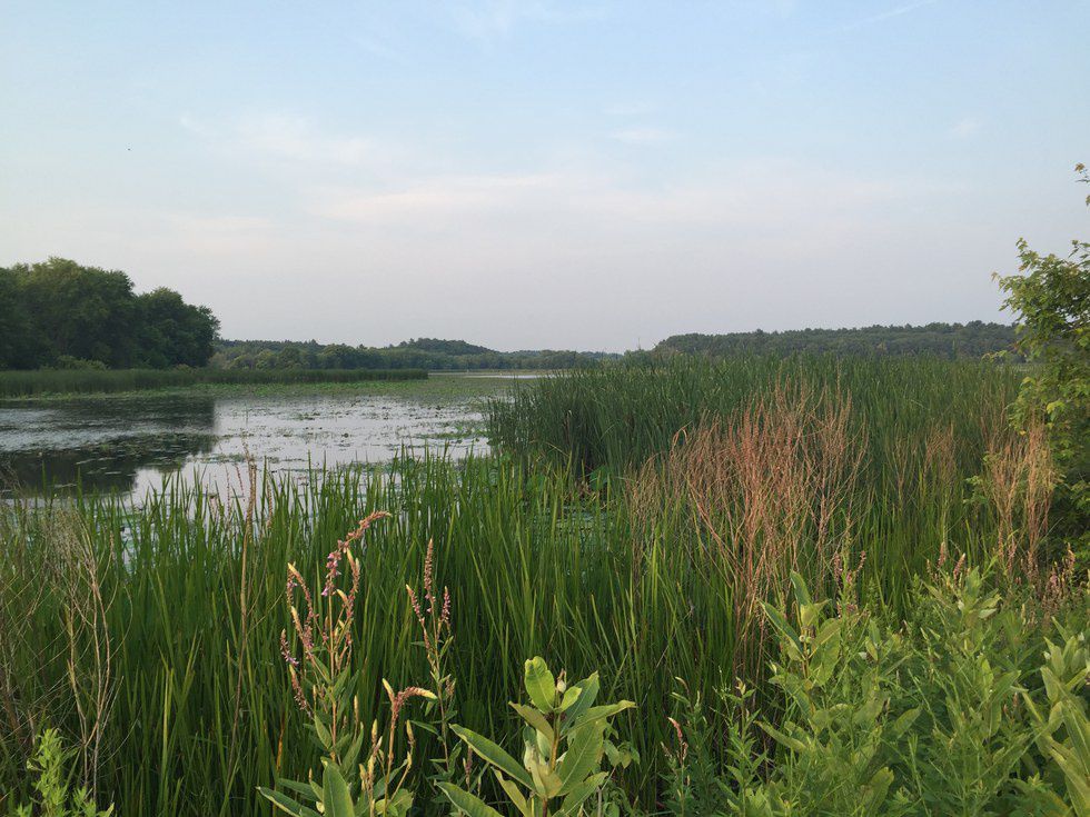 Fifteen Places To Visit In MA This Summer