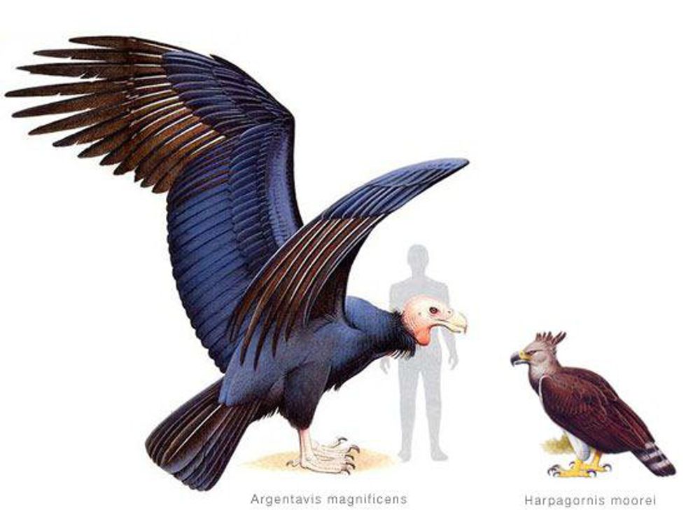 10 Ultra Cool Megafauna Giants