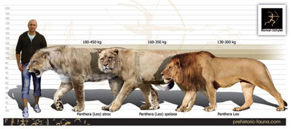 10 Ultra Cool Megafauna Giants