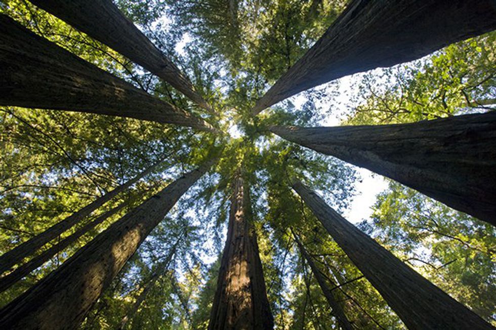 The Pacific Northwest Bucket List