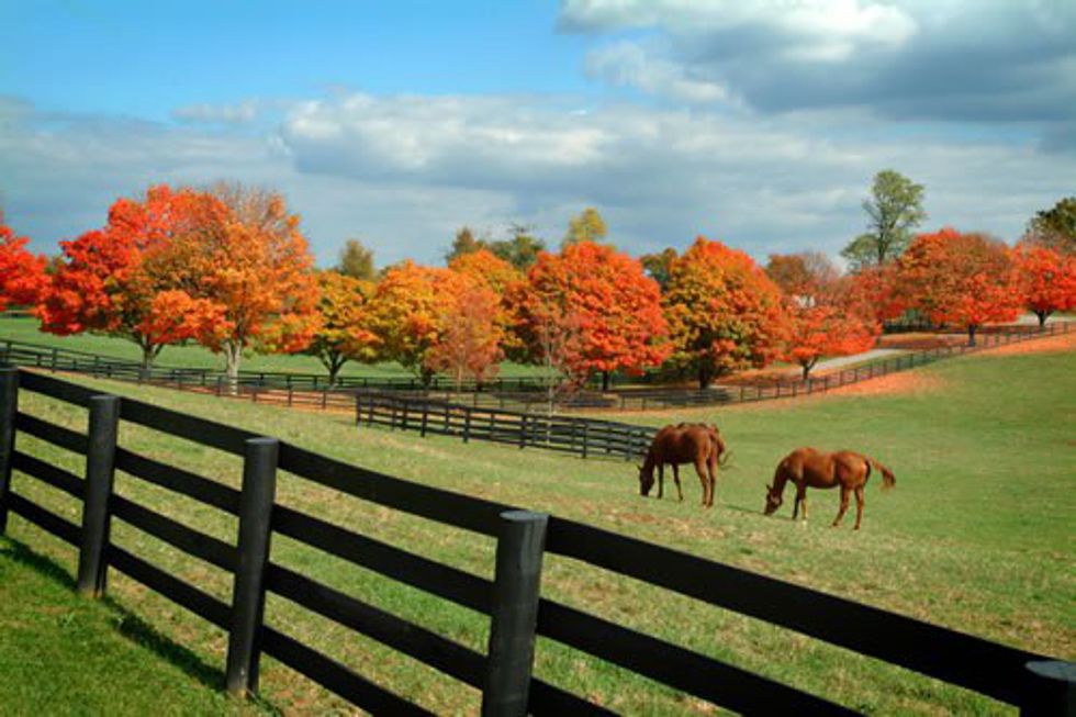 11 Reasons Why Lexington In Fall Is Heaven On Earth