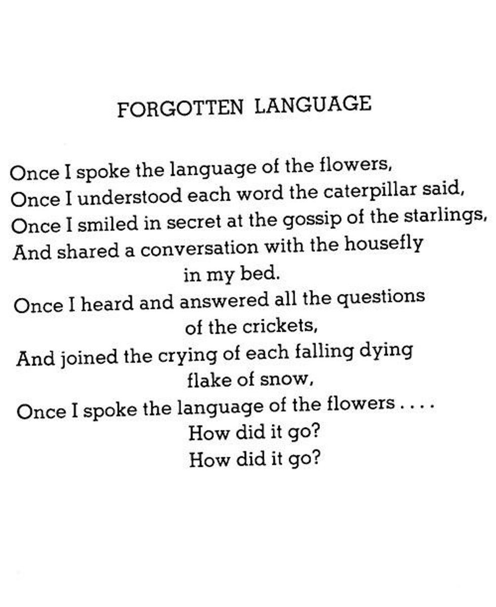 Shel Silverstein Poems That Mean More Now That I Am Older