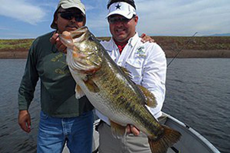 The Five Types of Fishermen