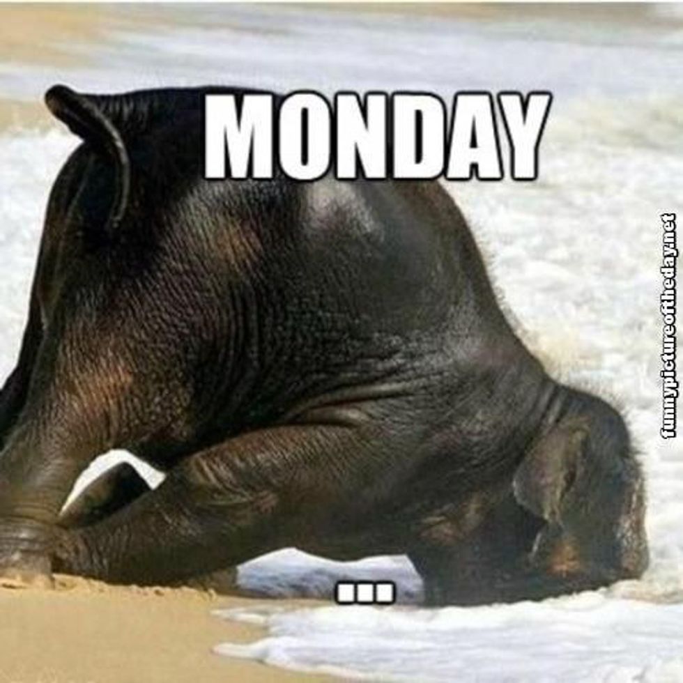 A Week In Memes