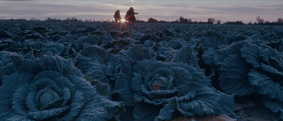 10 Of The Most Beautiful Movies Currently On Netflix