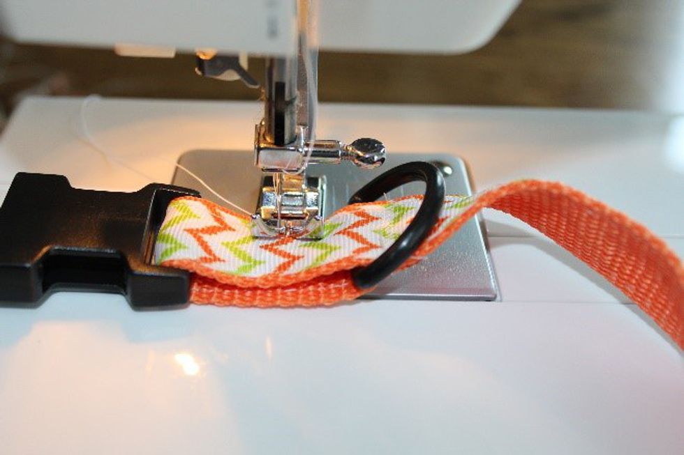How To Make A DIY Dog Collar In 8 Easy Steps