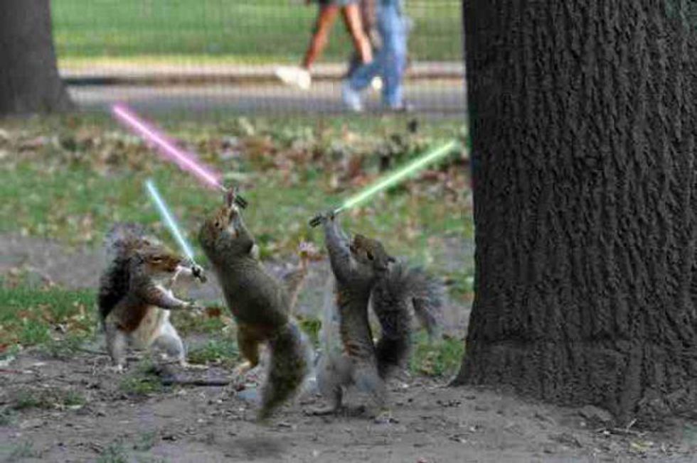 Why A Squirrel Is The Perfect Spirit Animal