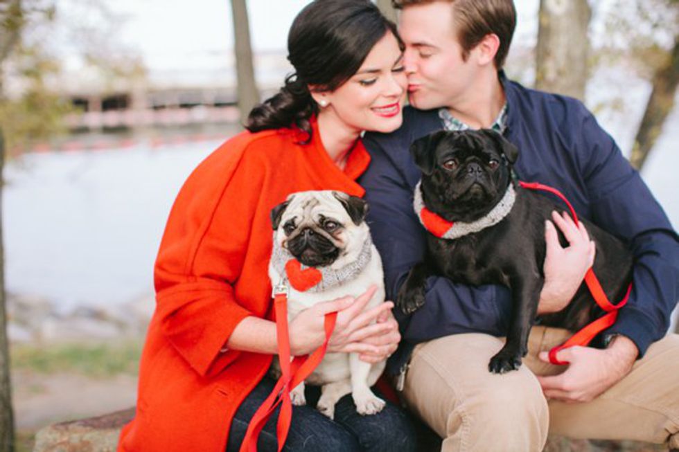26 Pugs That Are More Romantic Than You