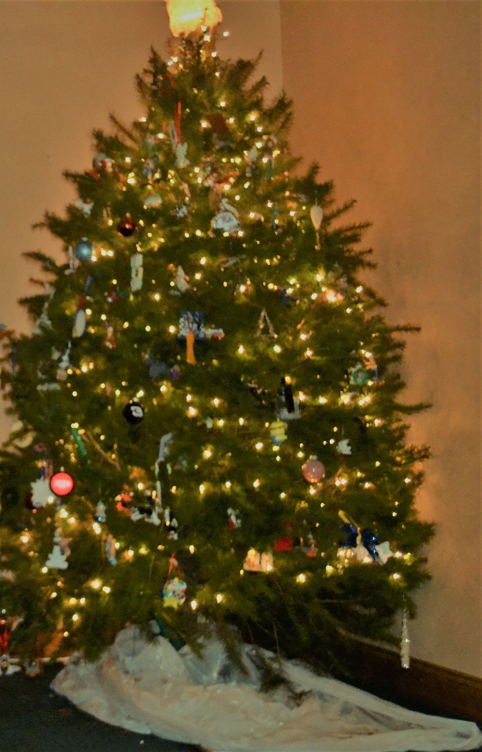 8 Reasons I Will Always Want A Real Christmas Tree