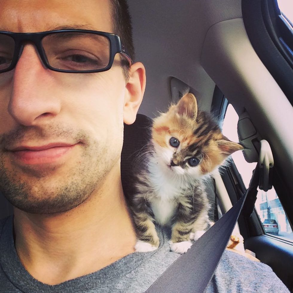 Former Marine Saves Little Calico Kitten Who Is In Need of Motherly ...