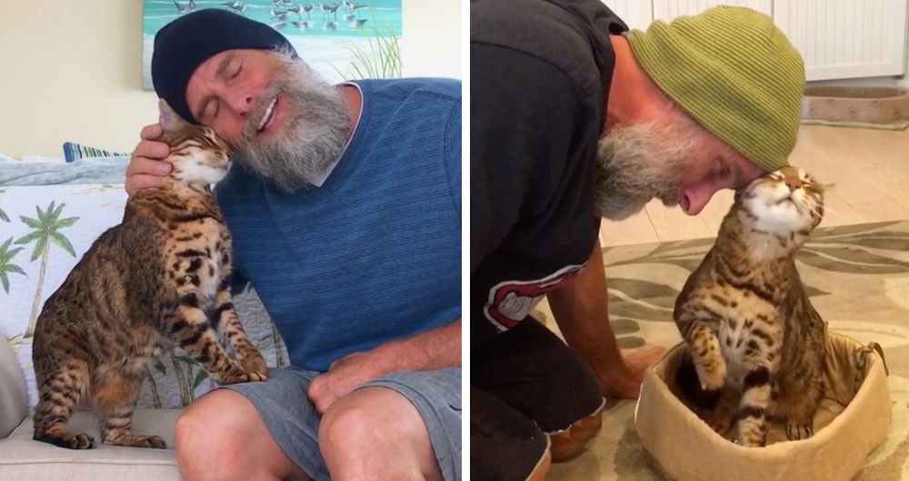 Cat Dad and His 'Son' Of 14 Years Share Incredible Bond In These ...