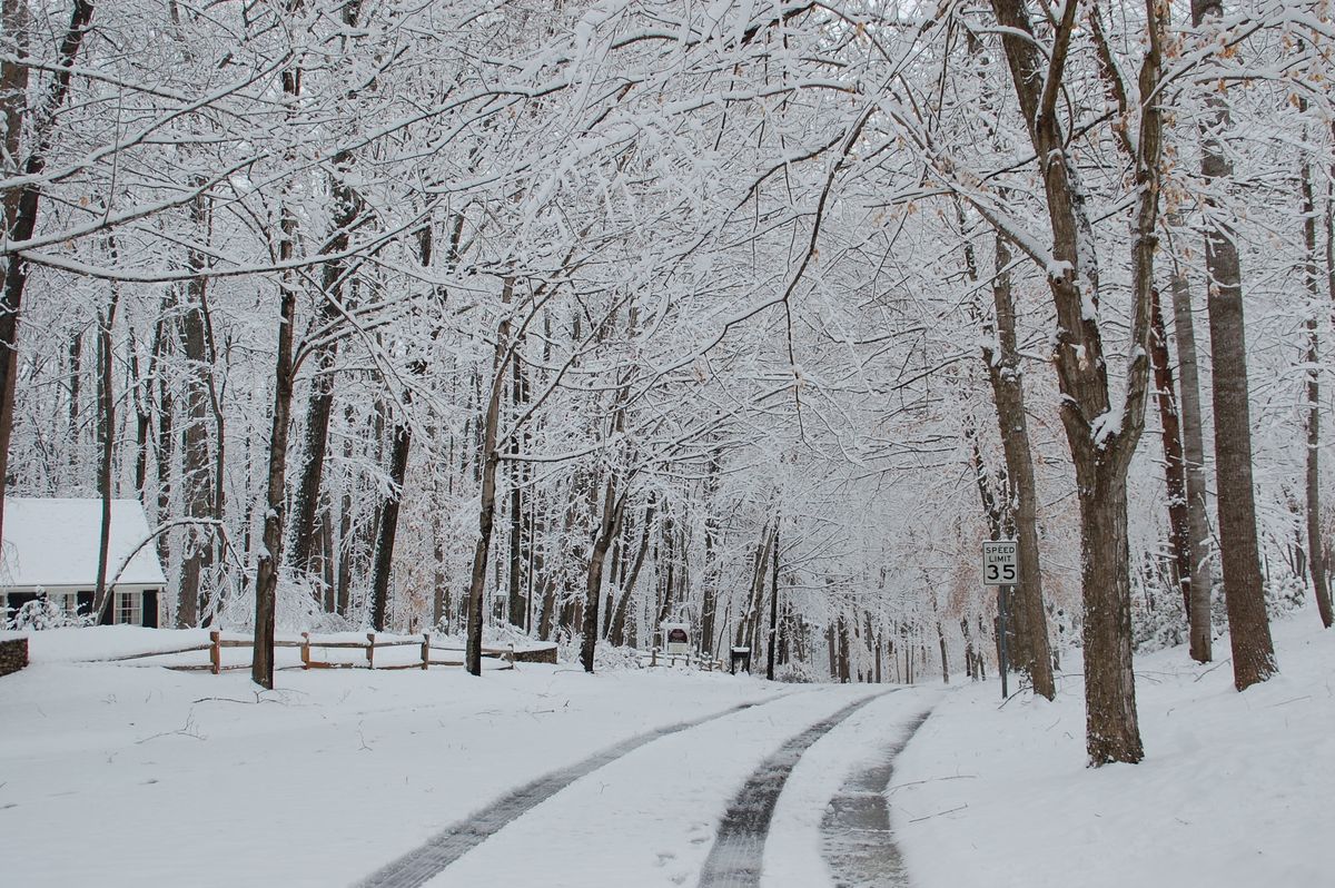 'Thank You' To The First Snow Of Winter
