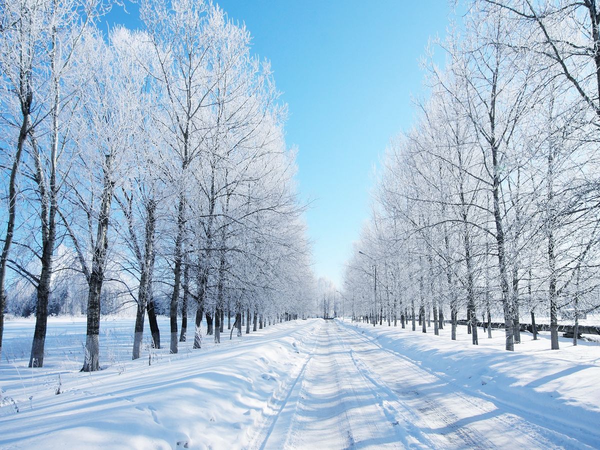 20 Things To Do When You're Snowed In