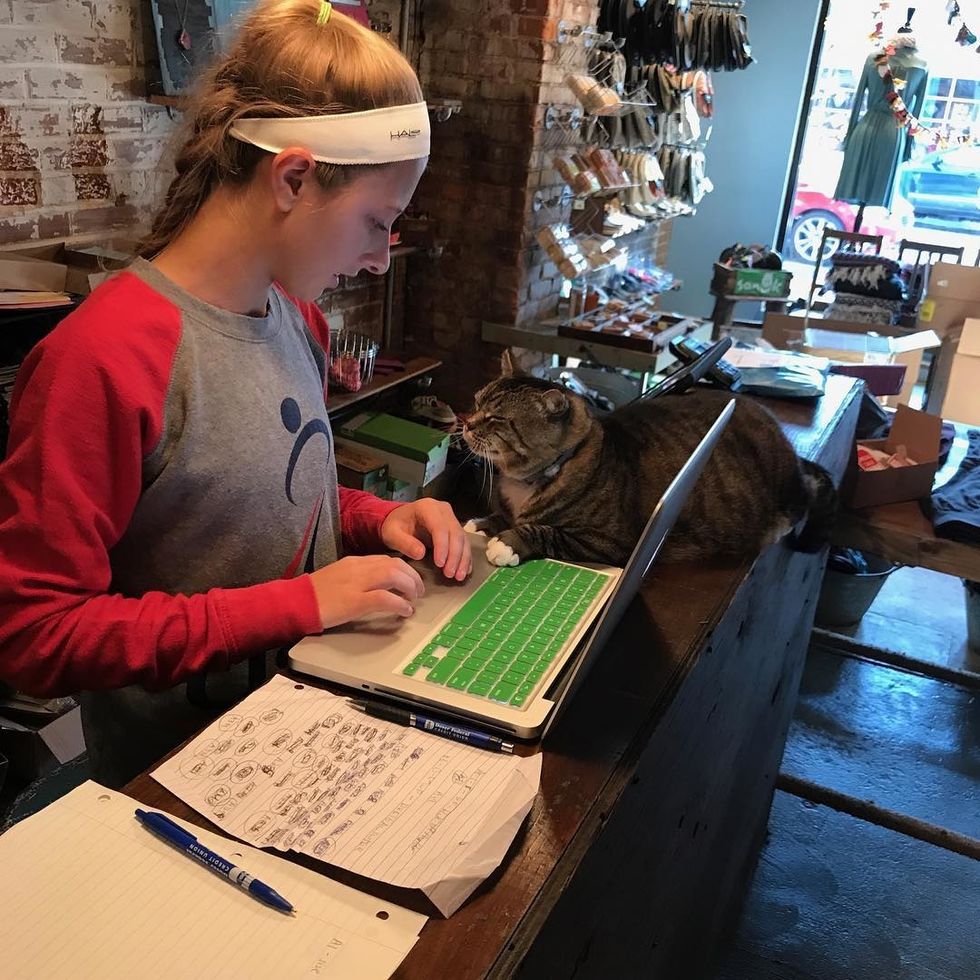 Stray Cat Decides to Be "Security Guard" for Store Whose Owner Saved ...