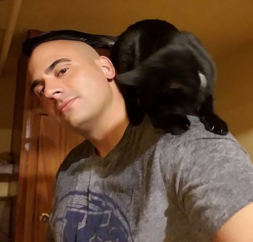 Feral Cat Becomes Man's Shoulder Kitty After Months of Him Trying to ...