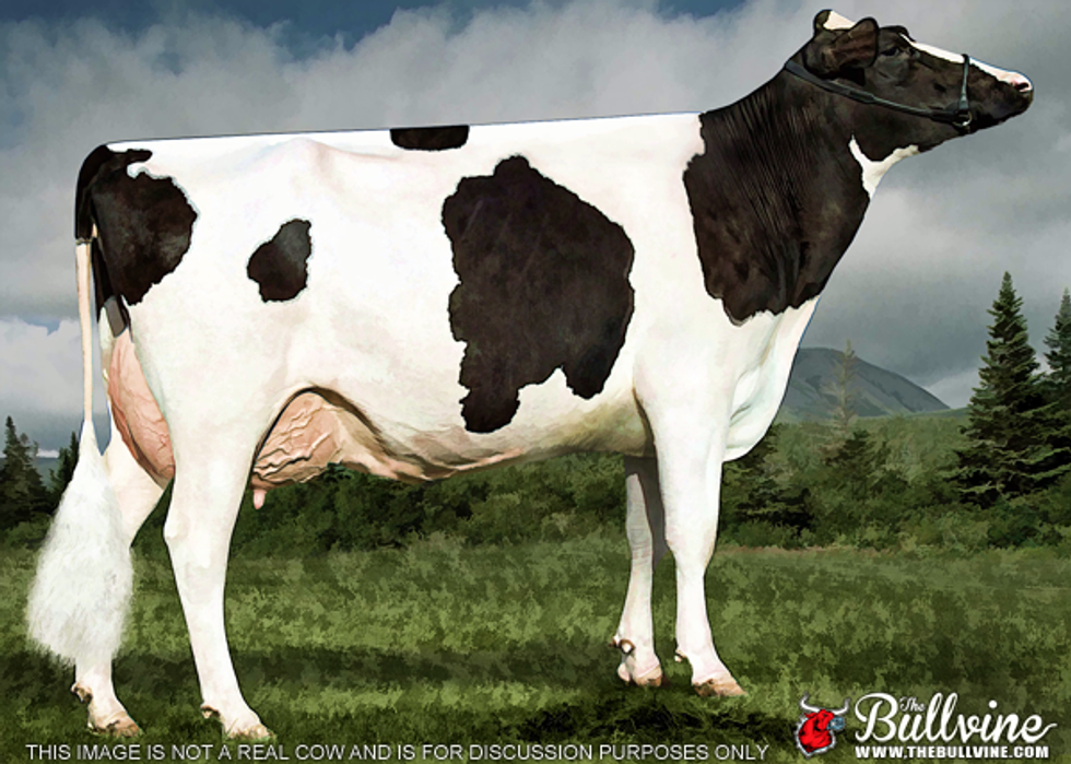 Dairy Cows For Dummies