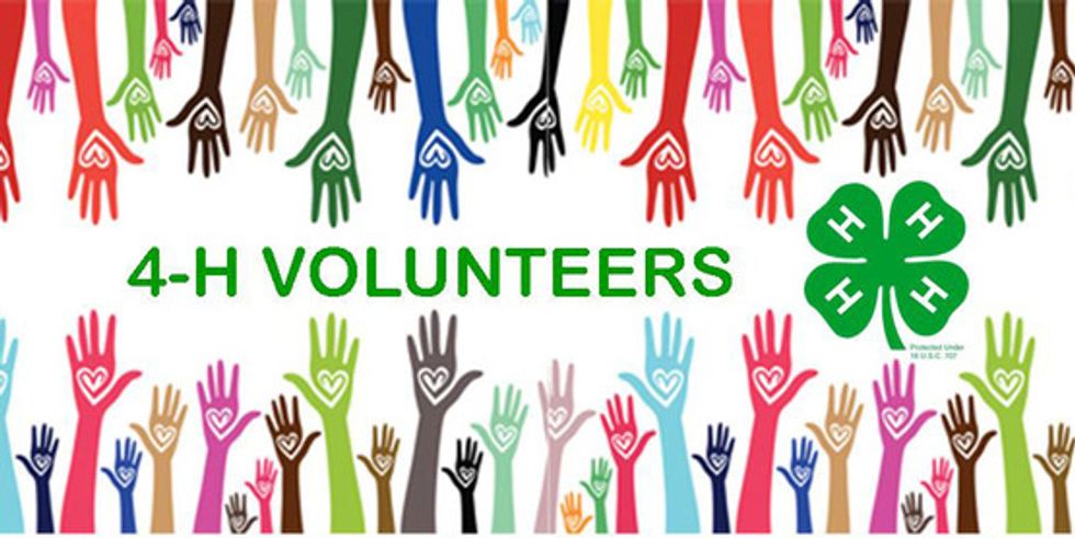 15 Life Lessons I’ve Learned As A 12 Year 4-H Member