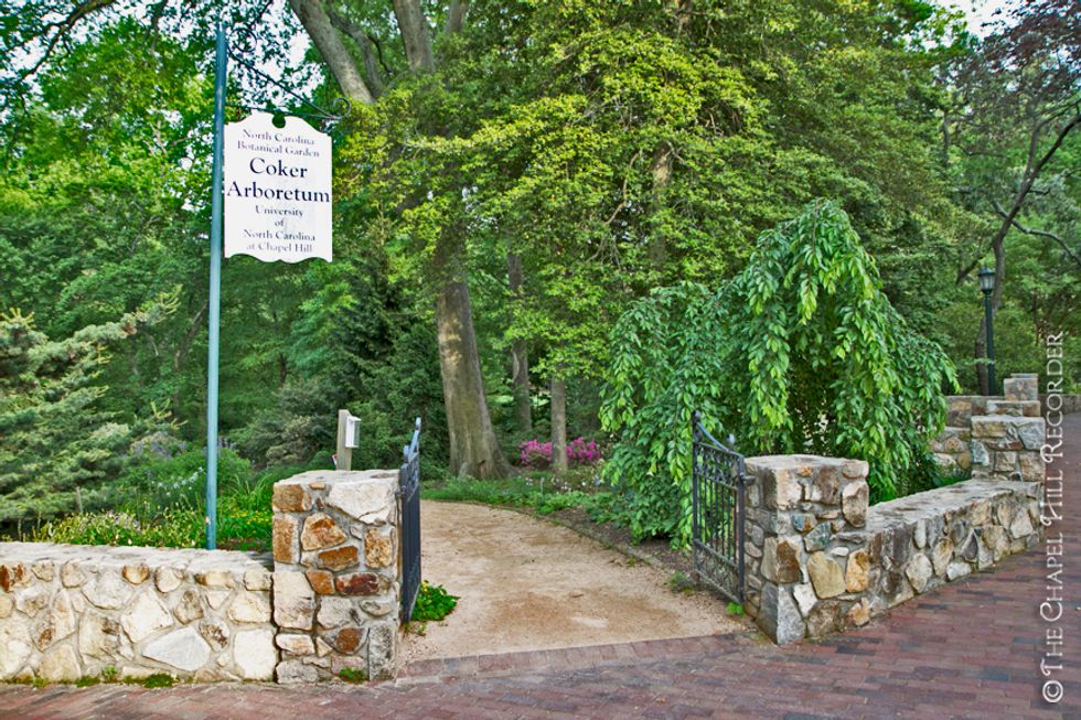 10 Under-Rated Places To Study On UNC's Campus