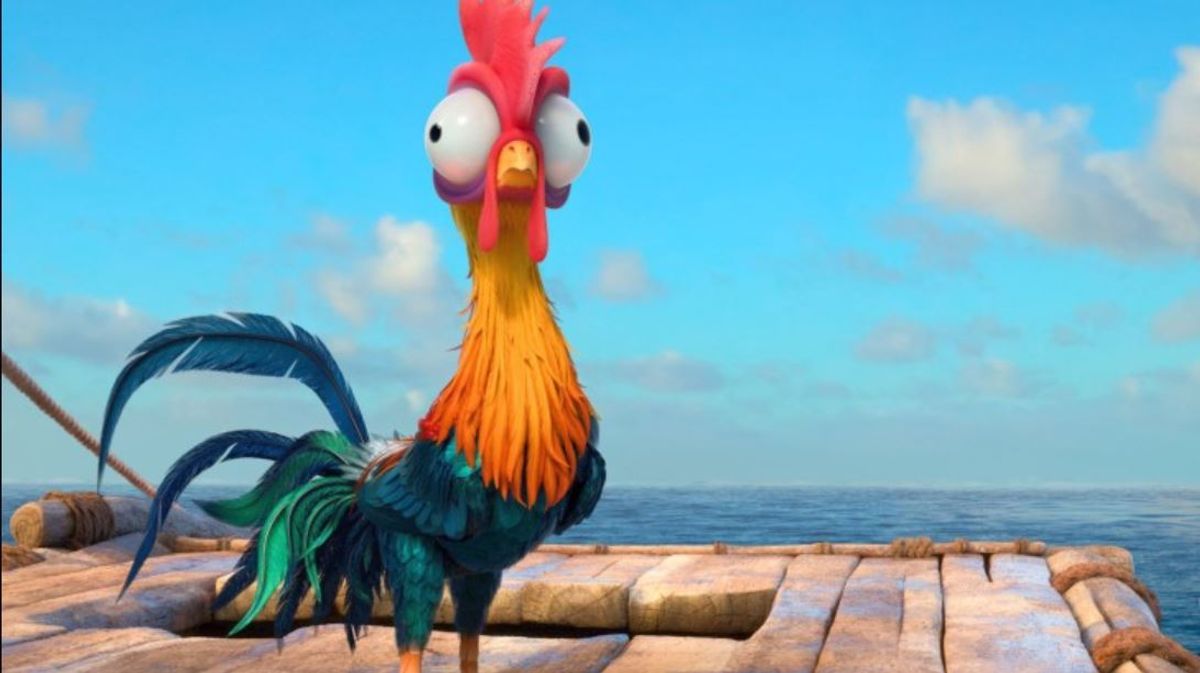 5 Ways We Are All Secretly Moana's Clumsy Chicken Heihei