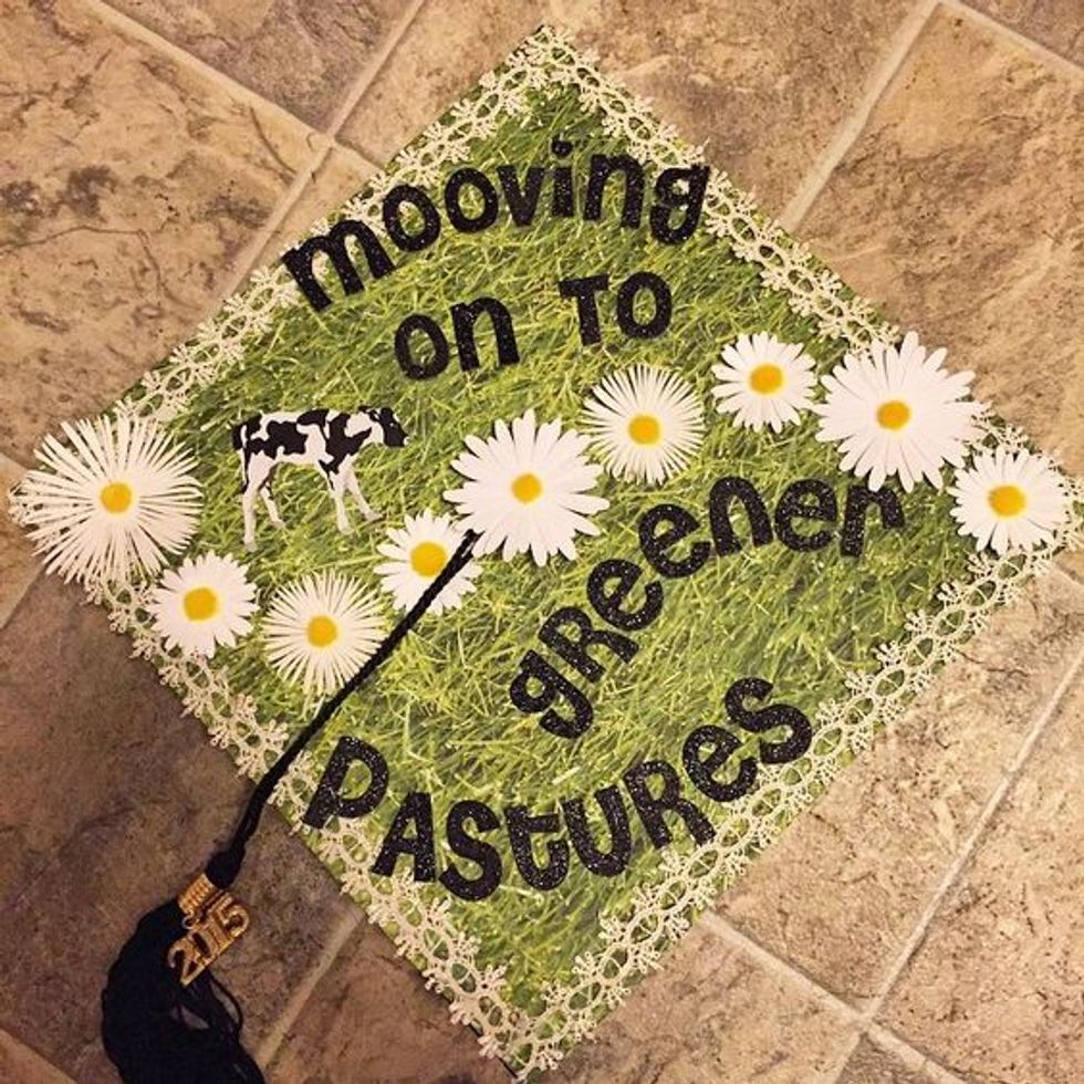 Graduation Caps For Every Major That Are Funny, Punny, And Just ...