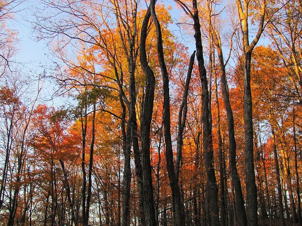 Photos that prove the South is the most beautiful place in the world ...