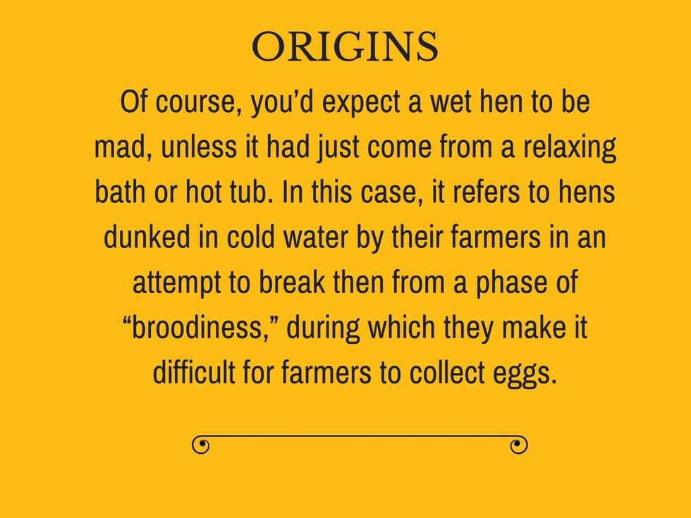 15 colorful Southern phrases and their origins - It's a Southern Thing