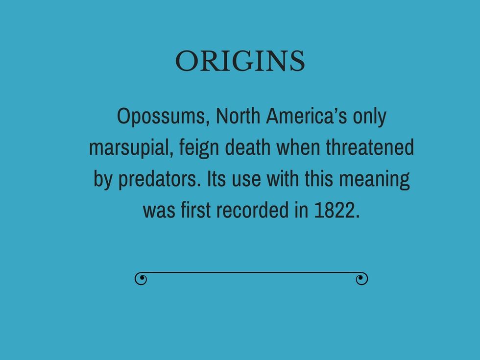 15 colorful Southern phrases and their origins - It's a Southern Thing