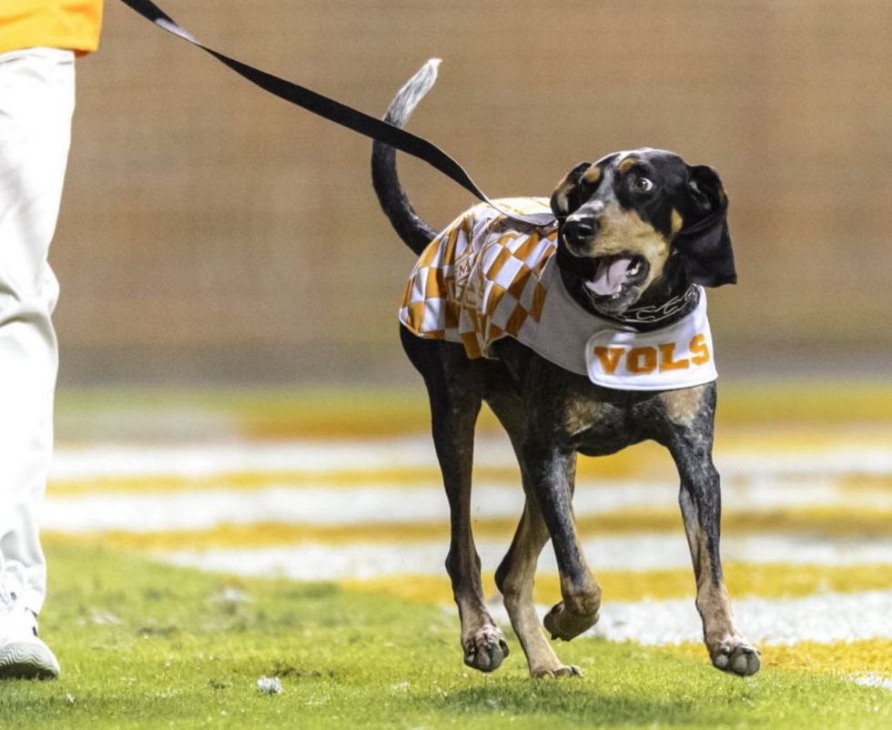 The most Southern mascots and nicknames we've seen - It's a Southern Thing