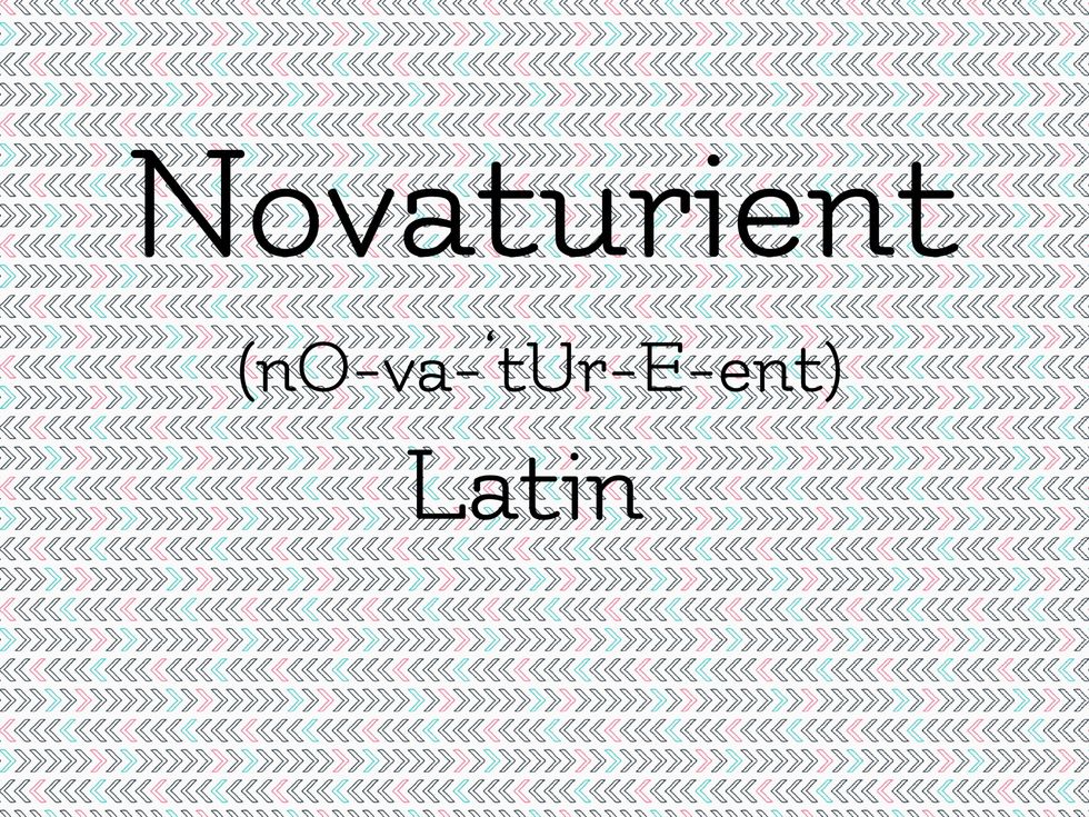 16 Beautiful And Rare Words