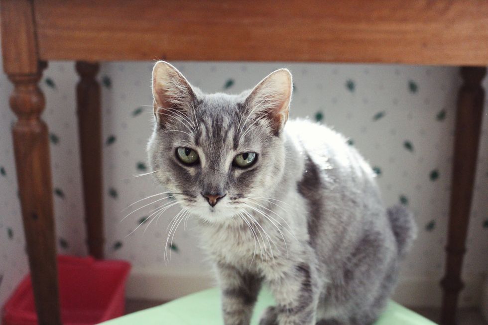 Why The Silence On The Ataturk Airport Bombing?