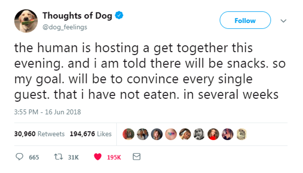 The 25 Best H*cking Tweets From The 'Thoughts Of Dog' Twitter