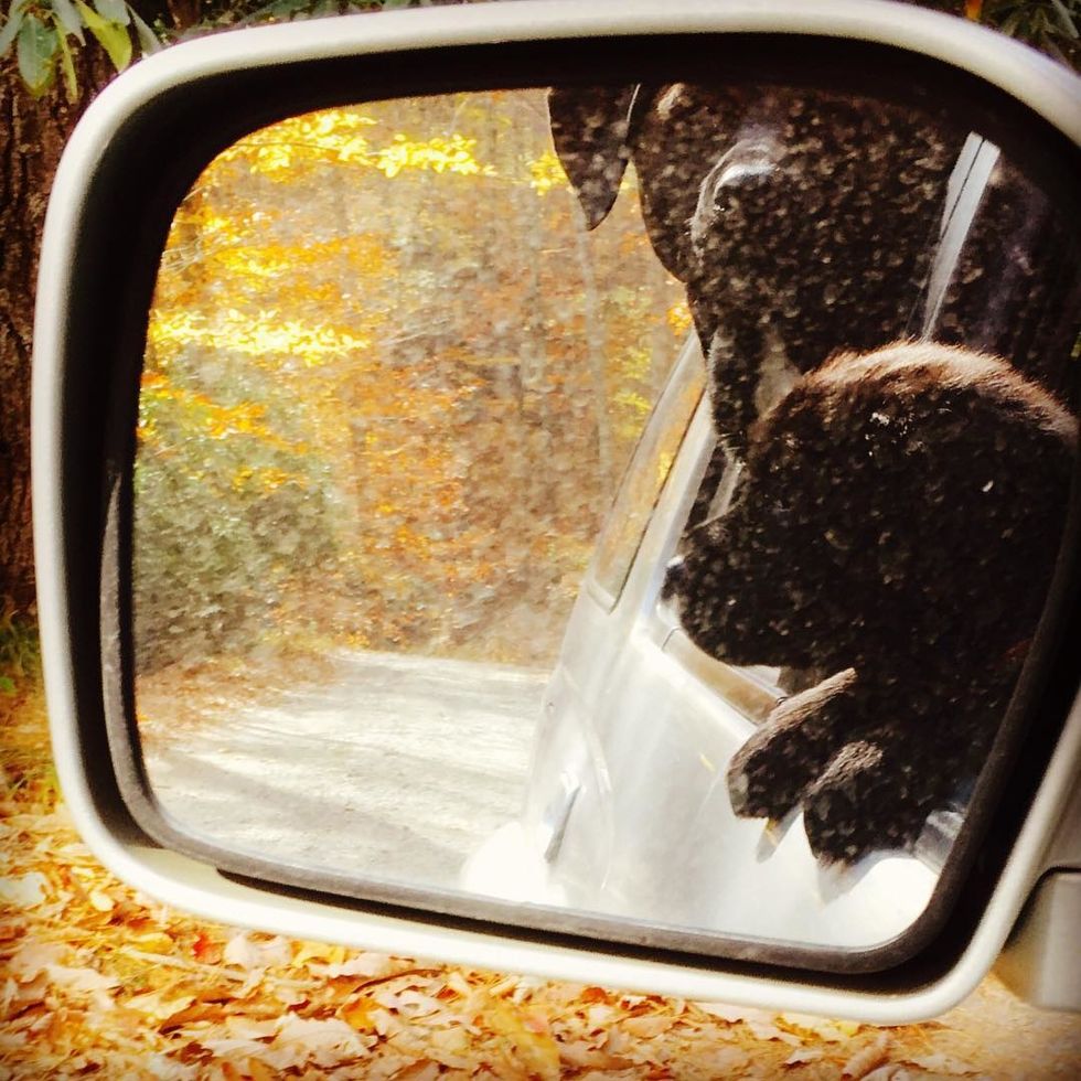 10 Quintessential Fall Activities All App State Students NEED To Do