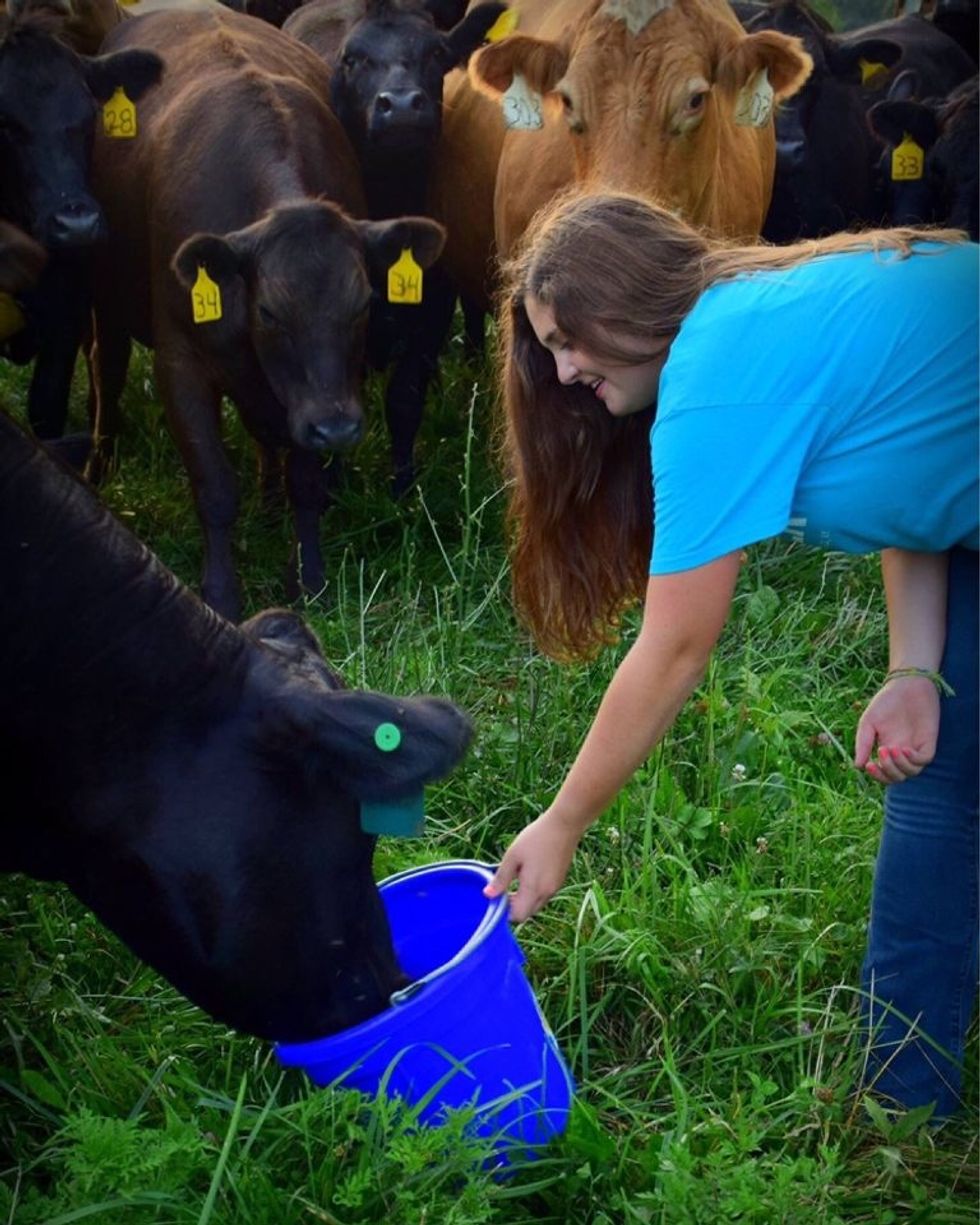 Growing Up On A Farm