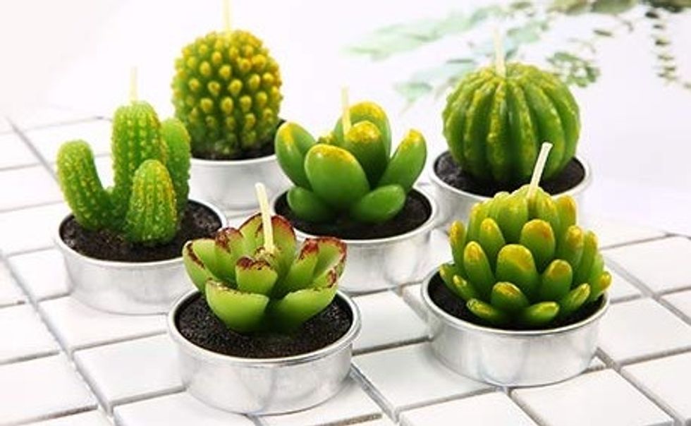 16 Adorable Gifts for Plant Lovers