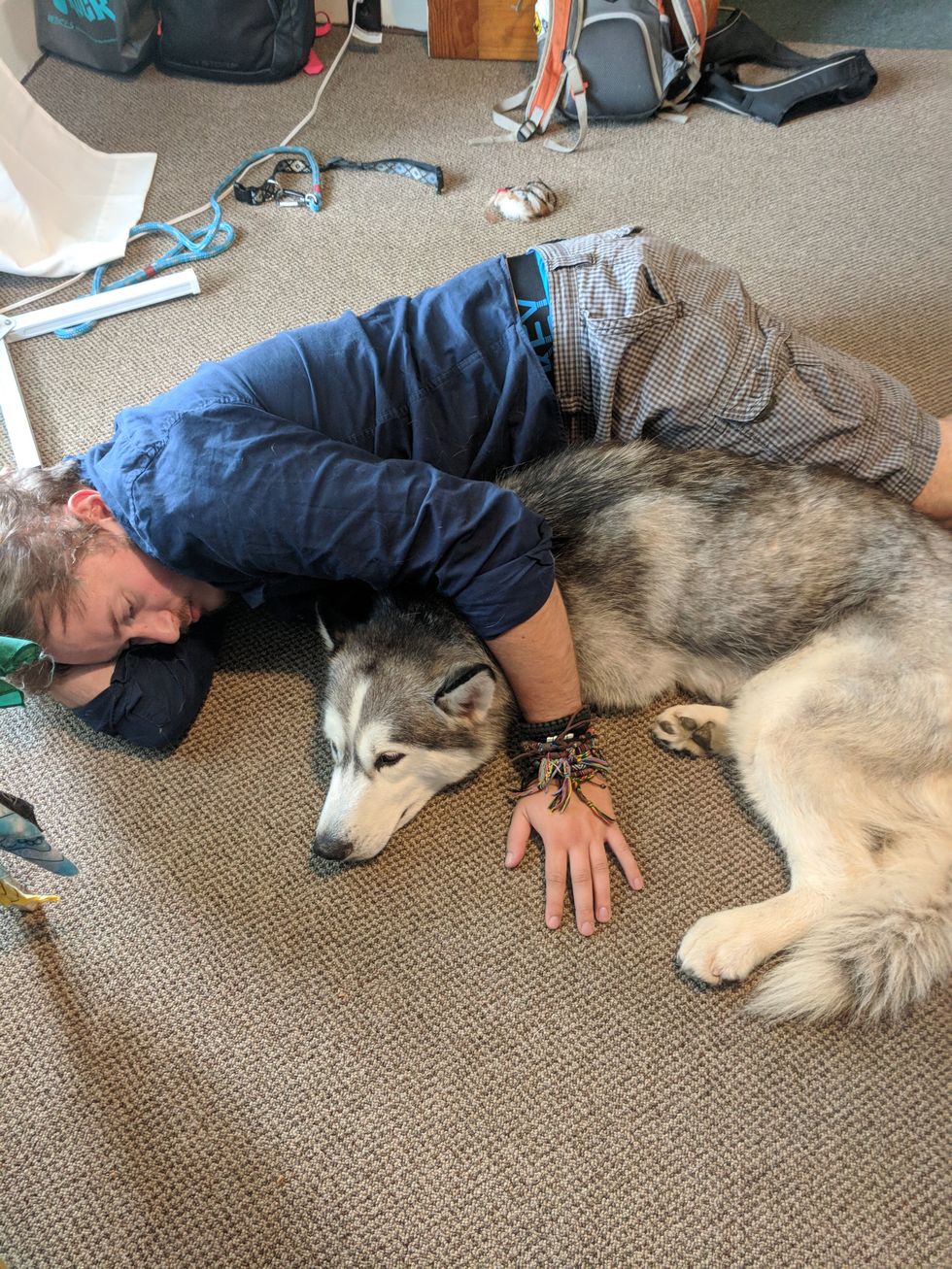 9 Reasons You Should Get Yourself A Husky