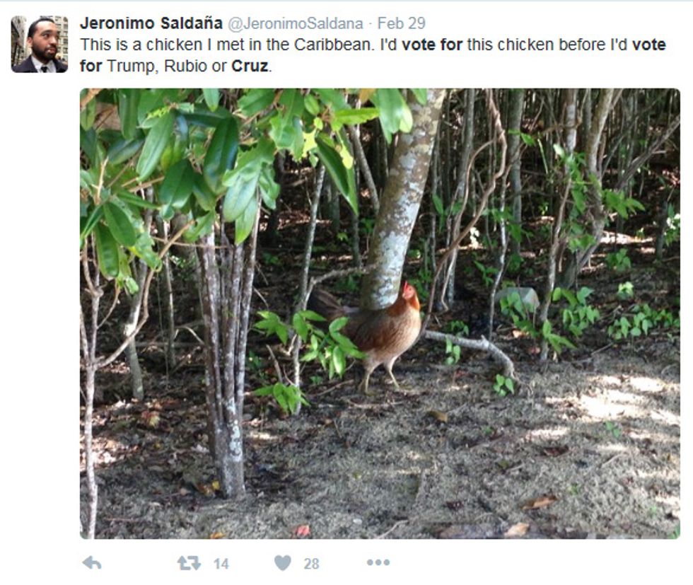 Have You Seen These Outrageous Election Tweets? - TheBlaze