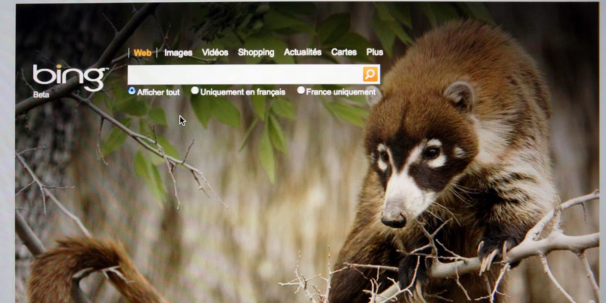 Report: Microsoft Bing displays — and even suggests — illegal child ...