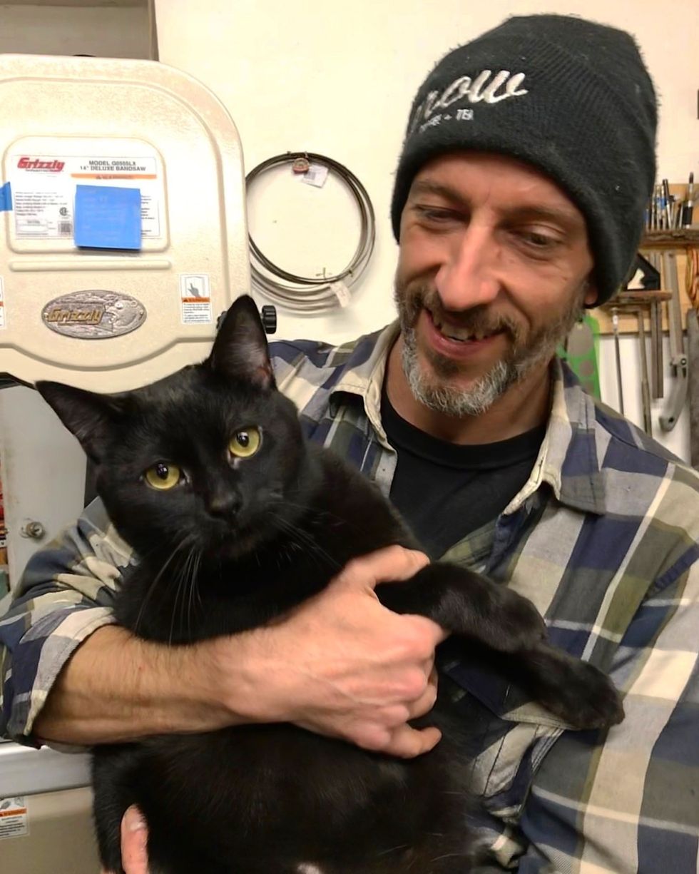 Man Went for a Work Break and Came Back with a Kitten on His Shoulder ...